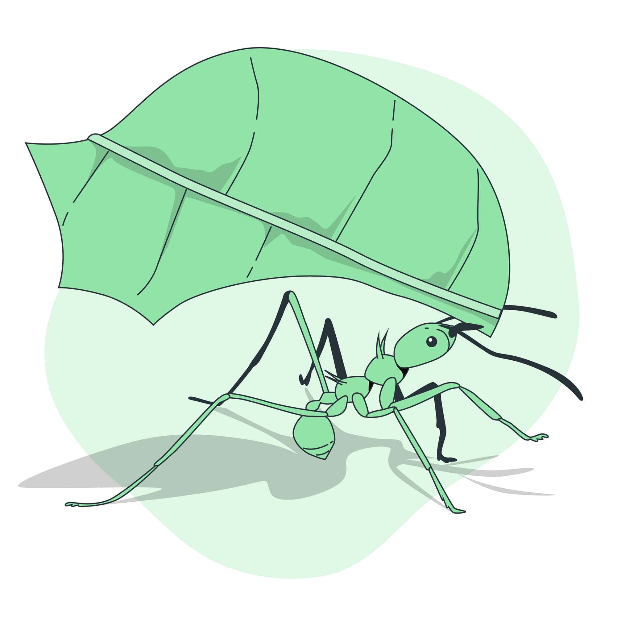 7 Leadership Lessons from Nature: What Animals Teach Us About Teamwork ...